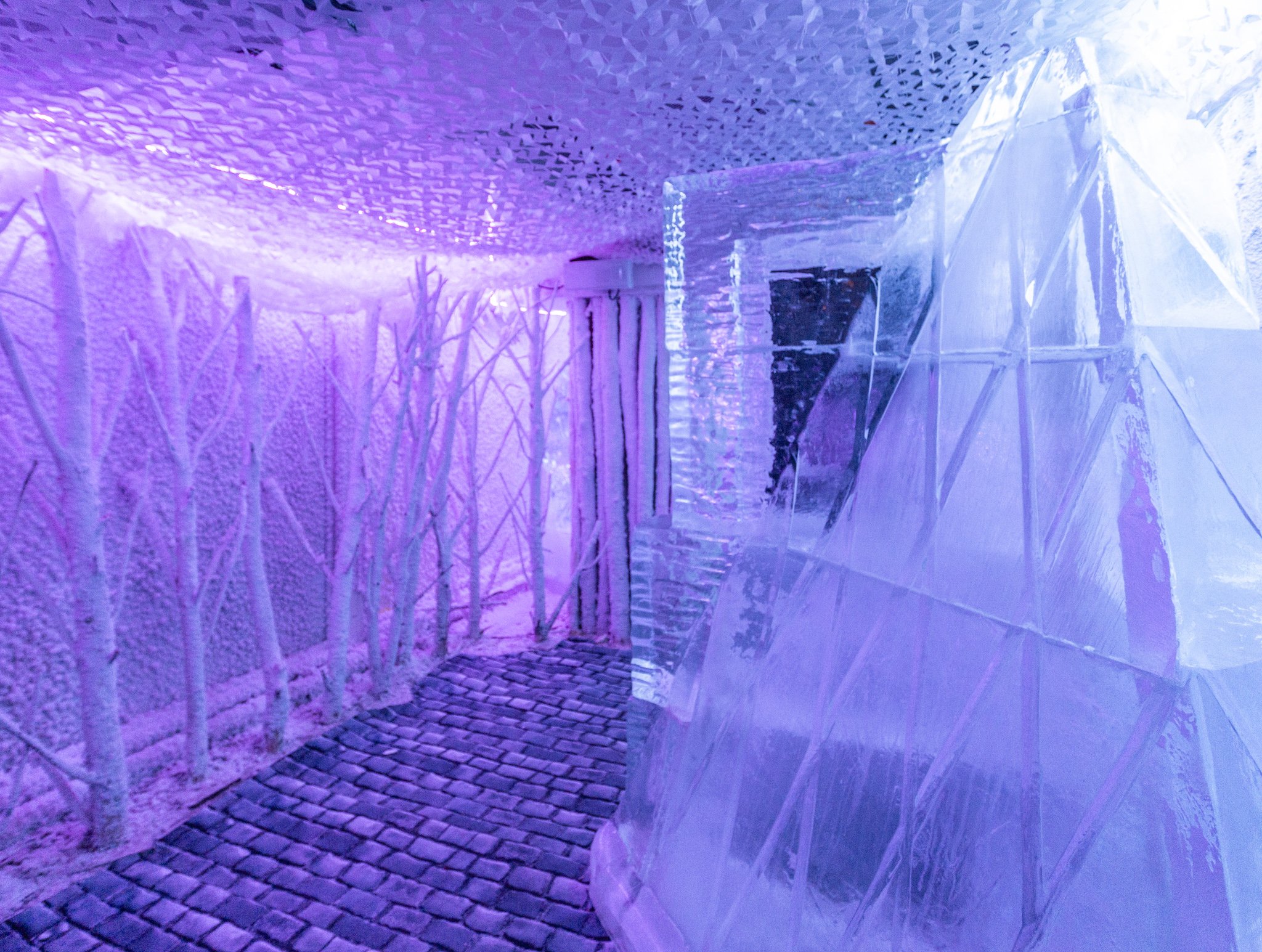 Ice Kube Paris - Le Seul Ice Bar à Paris - Expérience Insolite Paris